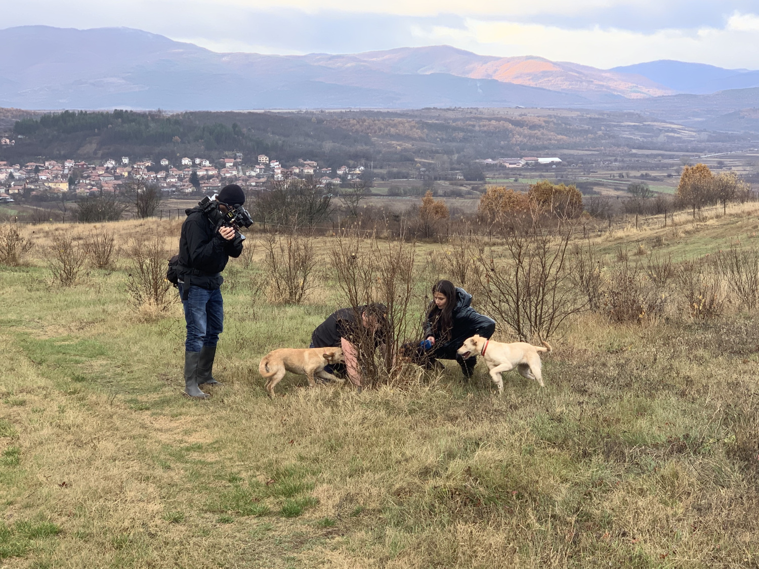 Adventures in Truffle Farming - Black Perigord - Aquitaine Travel Guide